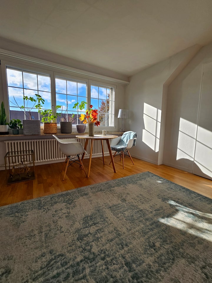 Beautiful Lake View Apartment Right Outside Zurich, 2 Min To The Lake - Erlenbach