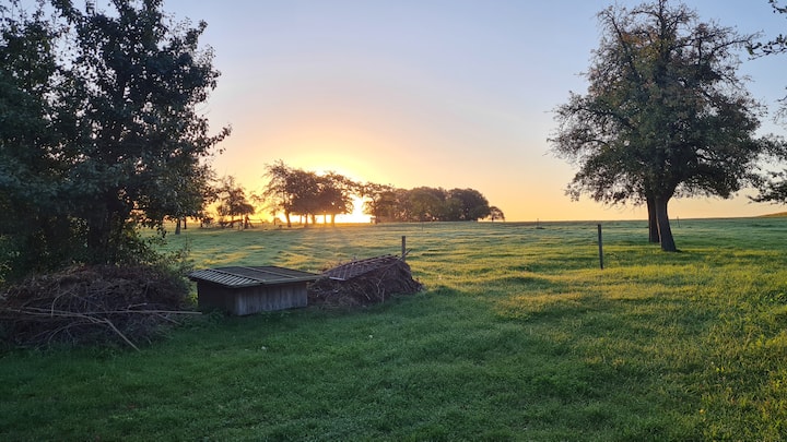 Gemütliche Ferienwohnung Mit Terrasse Im Grünen - Reinsberg