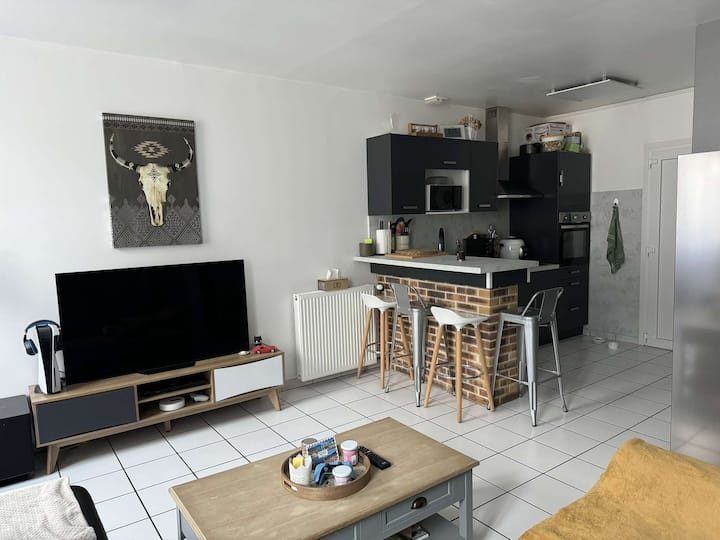 Appartement Proche De La Cité Ducal De Nevers - Nevers