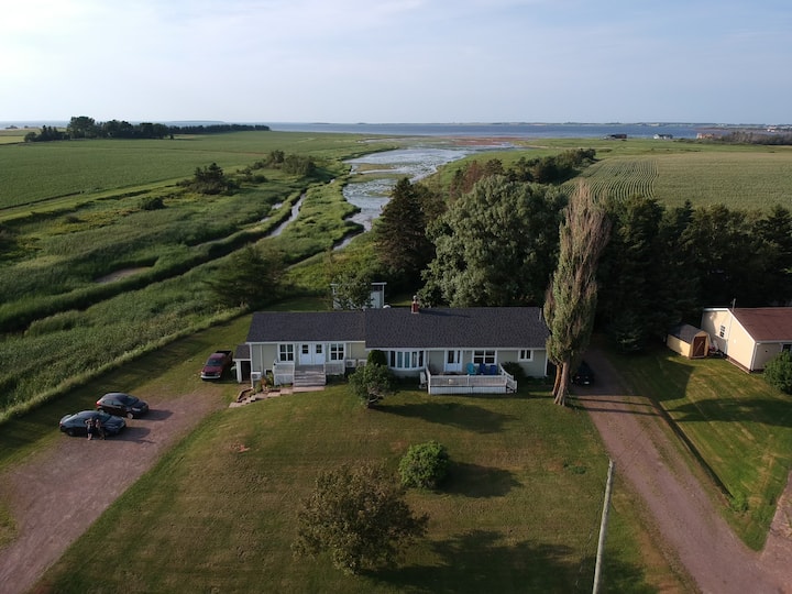 Two Separate Apartments! - Summerside