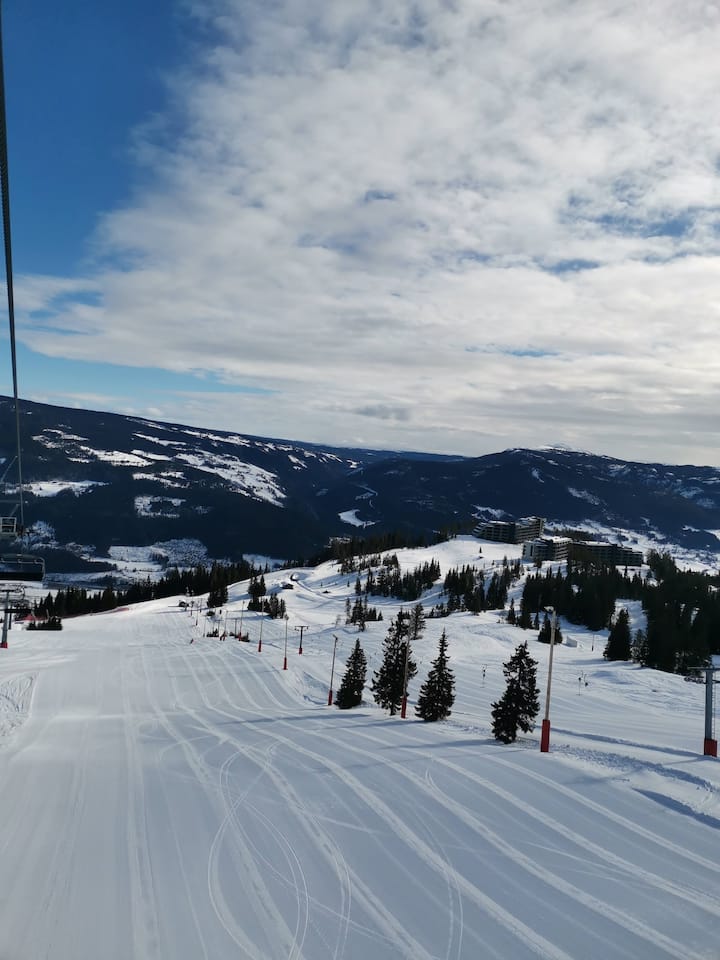 Ski In/ski Out Apartment With Panorama View - Norway