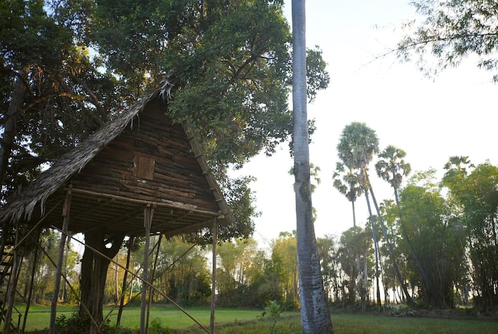 Eco Tree House | Homestay - Cambodia