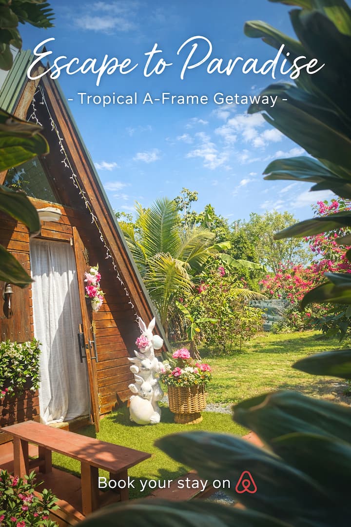 Barraca Escondida - Isabela