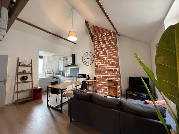 Appartement Spacieux, Hyper Centre D’orléans - Orléans