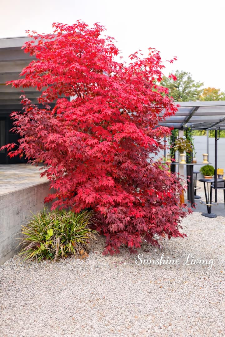 Sunshine Living - Utting am Ammersee