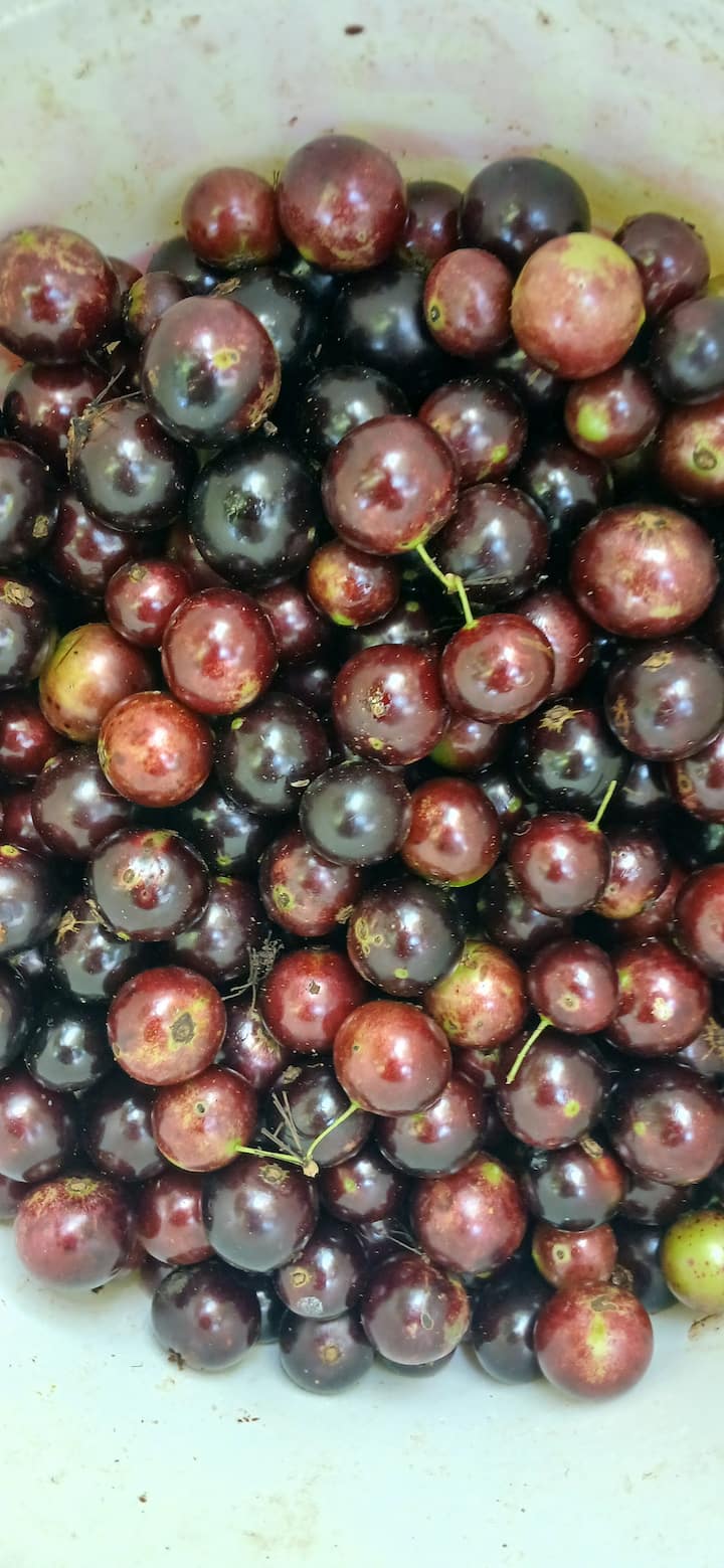 Casa Com Piscina E Lareira No Sitio Prox A Sp - Ibiúna