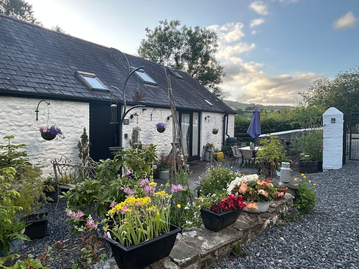 Flying Piglets
Peaceful Valley Views Starry Skies - Llandovery