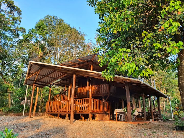 Cabaña Del Bosque. - Costa Rica