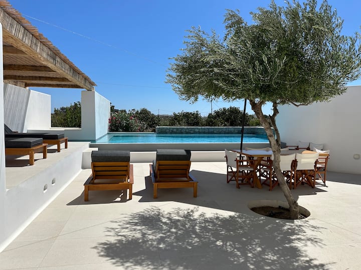 Alio (2suites) With One Private Swimming Pool - 낙소스 섬