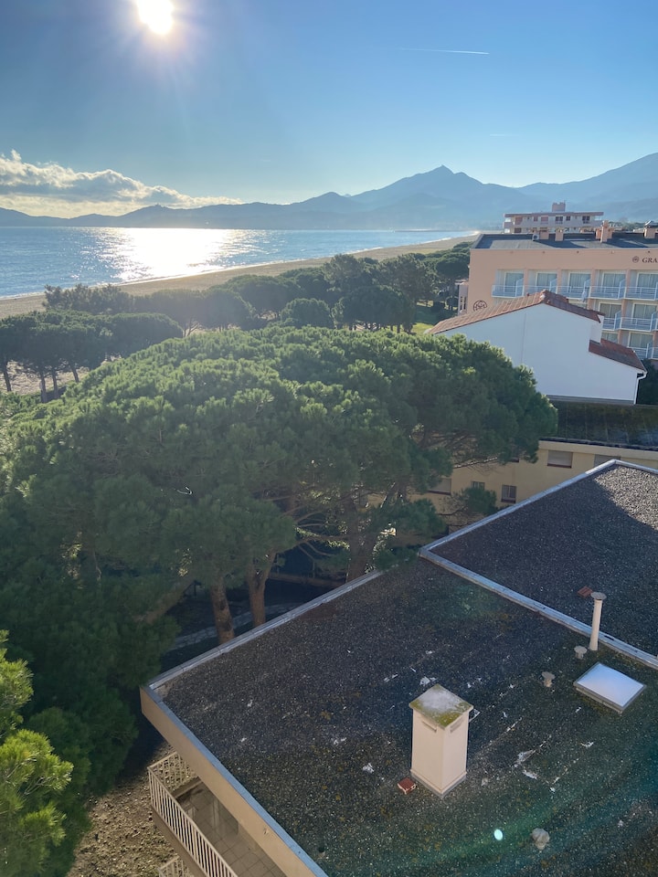 Argeles Sur Mer:
Appartement Les Pieds Dans L’eau - Argelès-sur-Mer