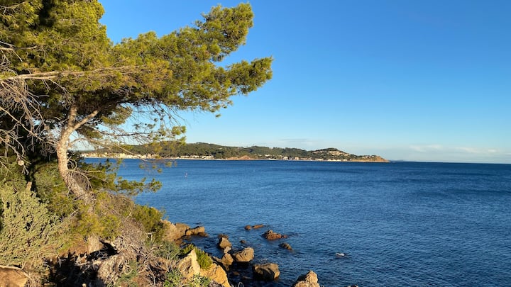 Adorable Guest House View And Direct Sea Access - Toulon