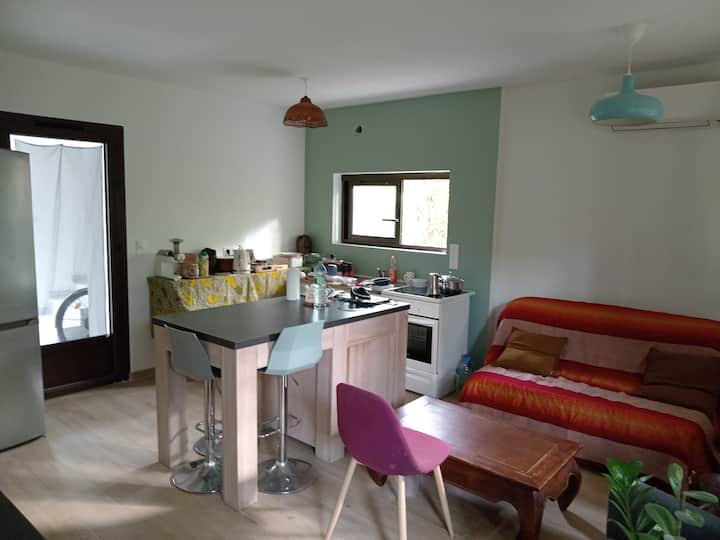 Belle Villa, Grand Jardin, à 2 Pas Du Centre - Montpellier