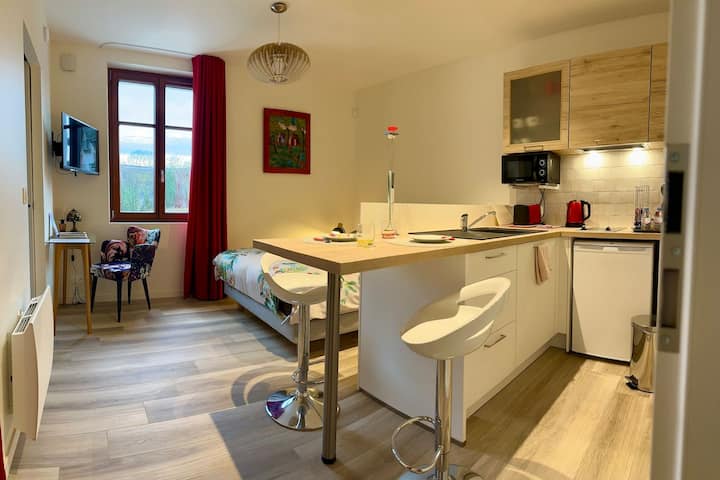 Studio "Remparts" Proche Lac · Parking Privatif - Nyon