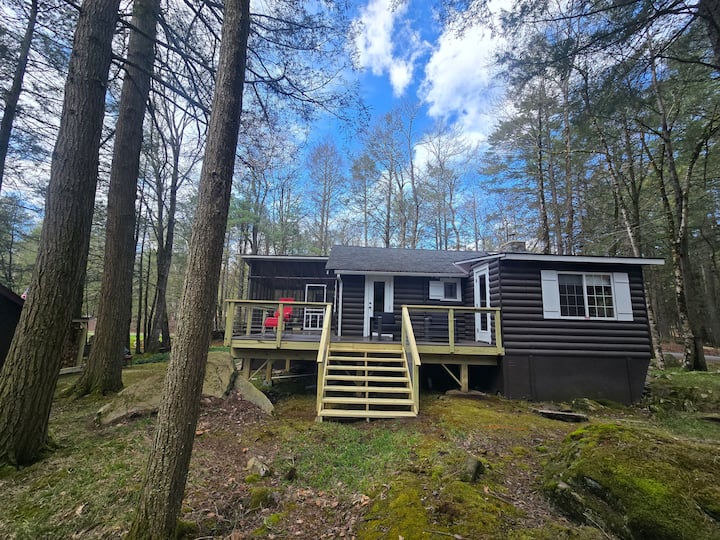 Streamside Wooded Catskills Cabin Oasis-pond View - Bethel