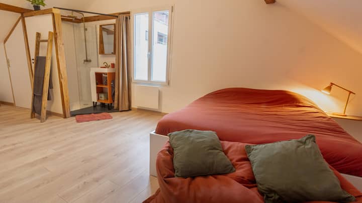 Annecy Duplex : La Mandallaz - Lake Annecy
