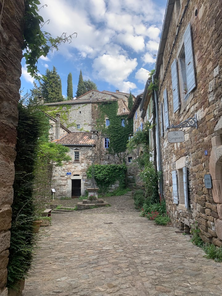 Grande Maison D'ardèche Aux Pieds Des Cévennes - Les Vans