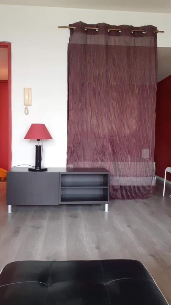 Petit Cocon Urbain, Calme Télétravail & Parking - Villeurbanne