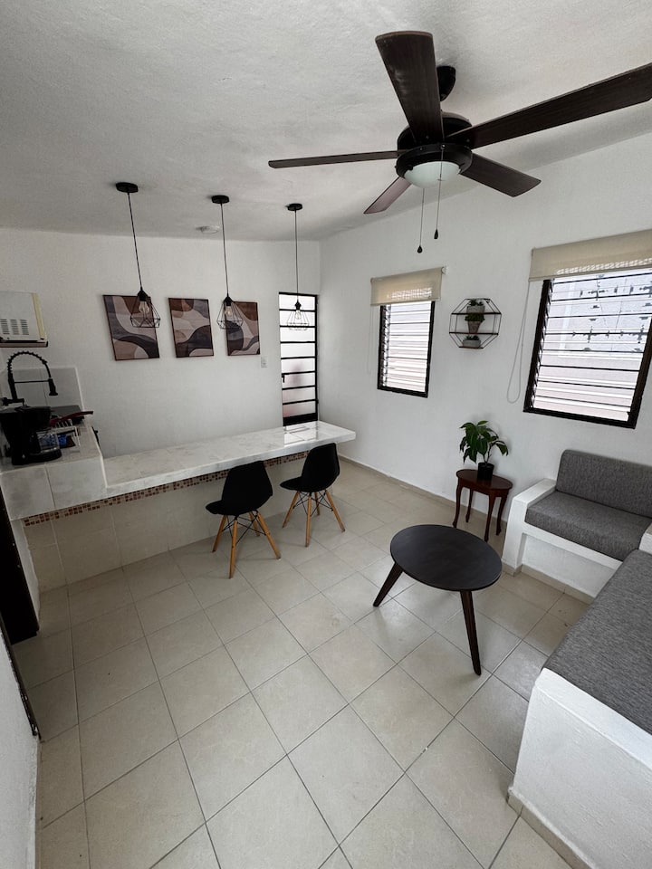 Newly Renovated Apartment In Centro - Mérida