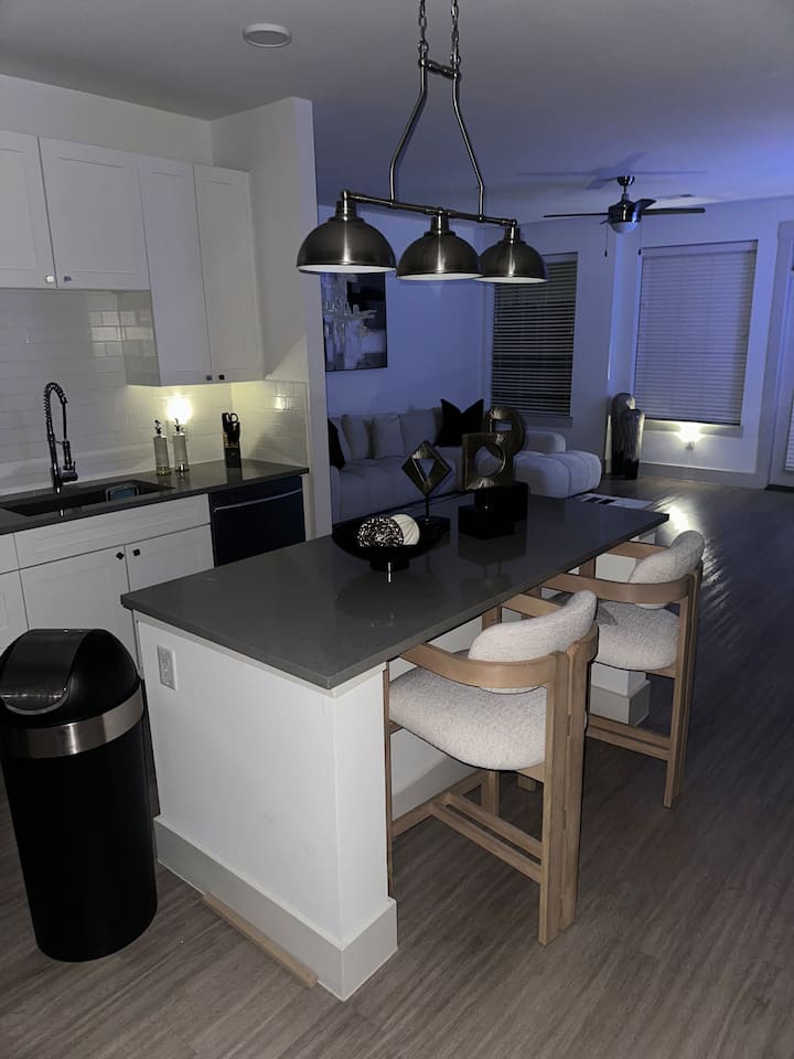 Modern Cozy Apartment In The Heart Of Katy - Katy, TX