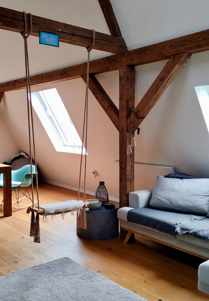 Charmante Dachwohnung In Freiburg Stadtmitte - Freiburg im Breisgau