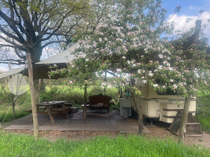 'De Hasselbraam' Op De Gastvrijplaats! Glamping - Venray