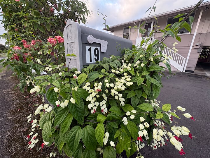 Lei House Ohana, Unit  2 ( Upstairs) - Hilo