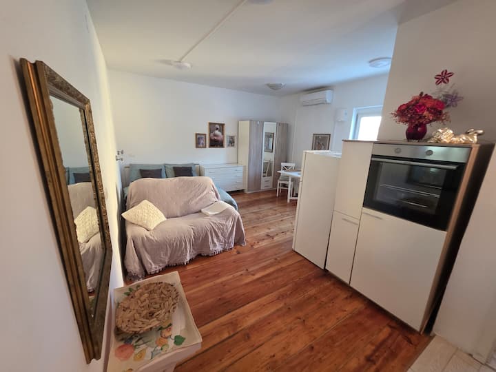 Garsonjera Mama 10 Minut Do Centra - Ljubljana