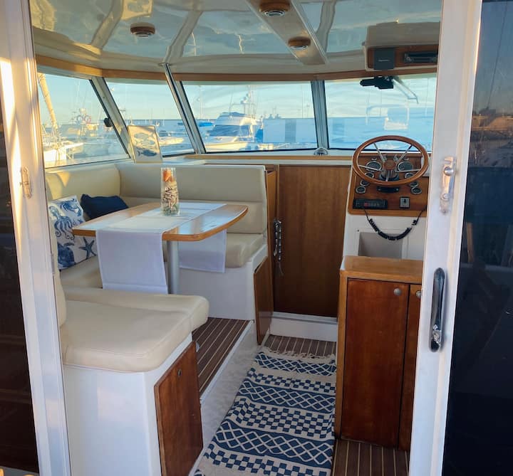 Acogedor Catamarán En Gandia. - Daimuz