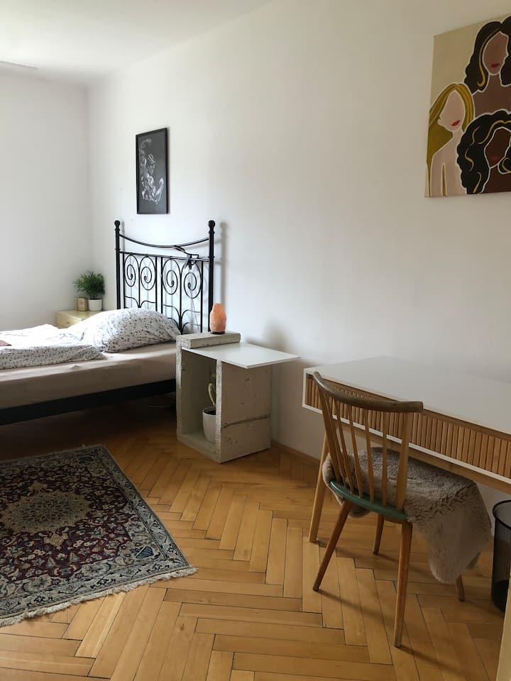 Schöne Zentrale Wohnung Mit Kostenlosem Parkplatz - Regensburg