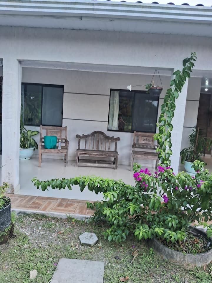 Casa  Na Rodovia E Com Verde E Piscina Pequena - Guaratuba