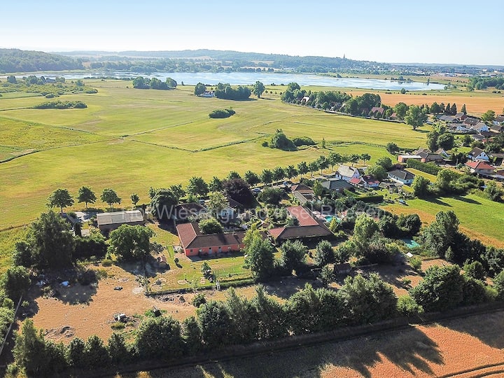 15 Vogelnest - Ralswiek