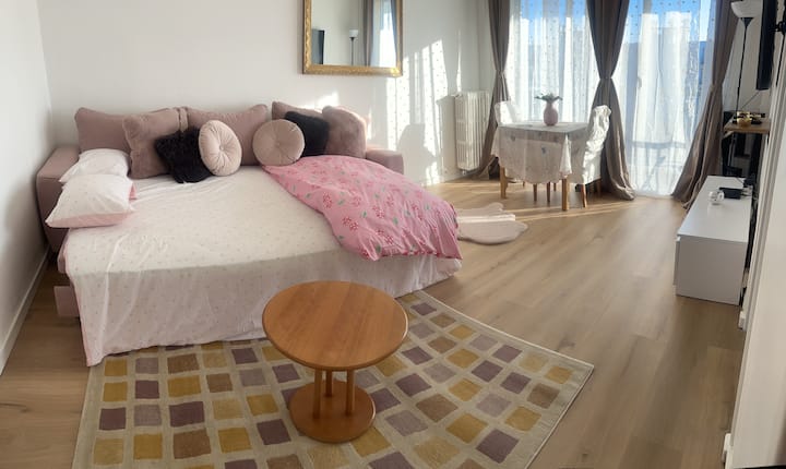 Magnifique Appartement Avec Internet Illimité - Saint-Maur-des-Fossés