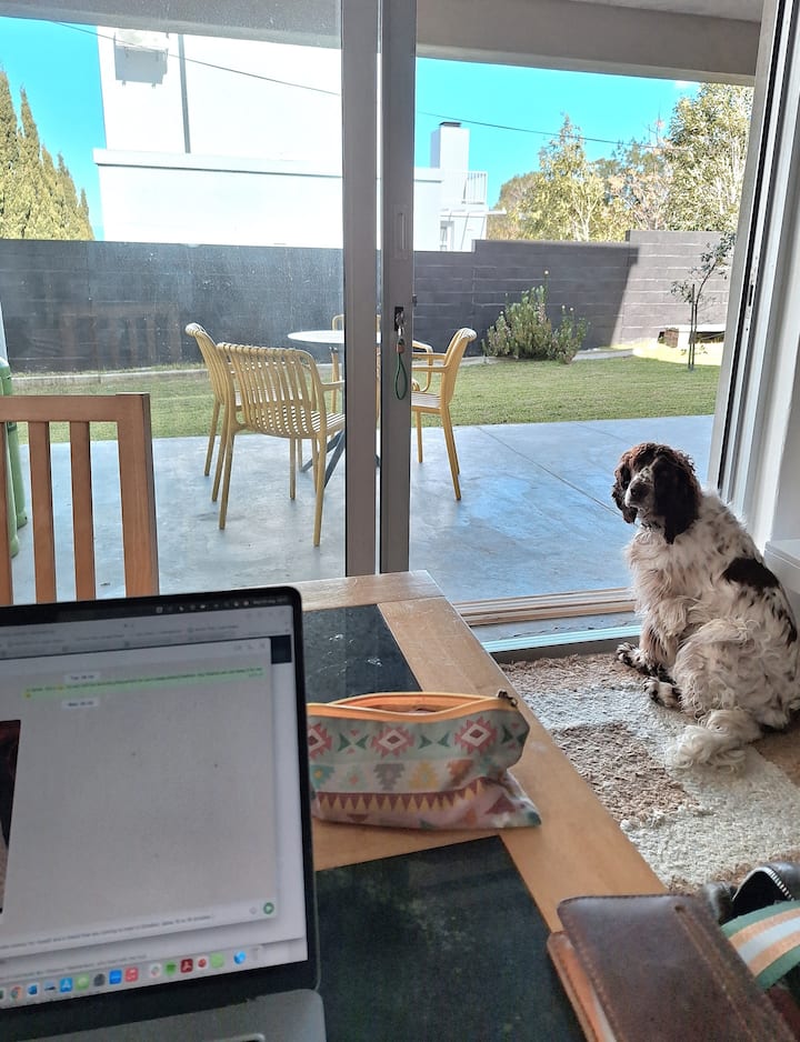 Modern Garden And Sea Cottage - Hermanus