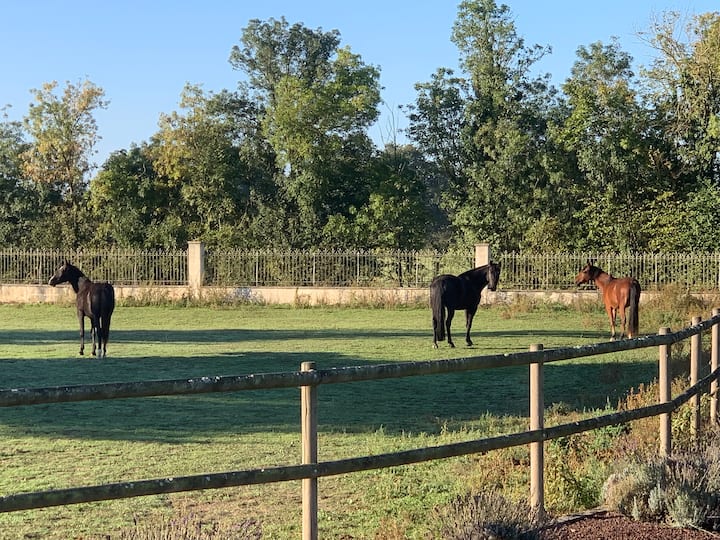 Maisonnette Proche Bord De Loire - Basse-Goulaine