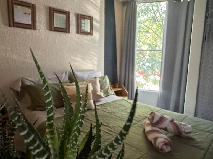 Departamento Priv. Cómodo & Céntrico - Mexico City