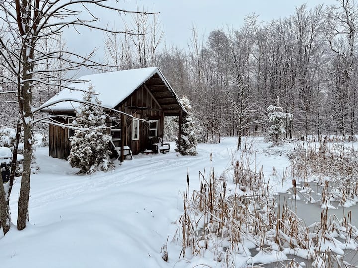 1. Cozy Tiny Cabin On The Farm - Ottawa