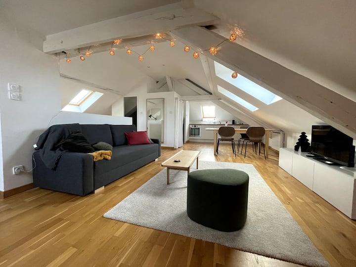 Loft à Strasbourg - Strasbourg