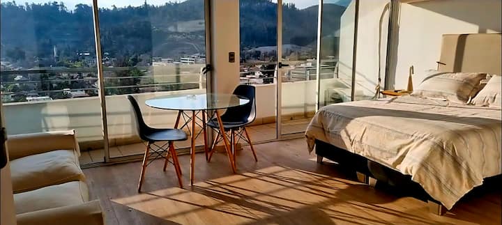 Departamento Luminoso Con Vista Despejada. - Providencia