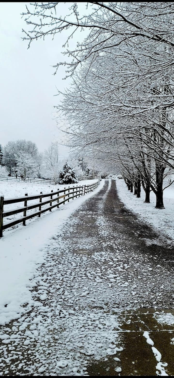 Farm Guesthouse, Minutes From Turkey Creek! - Oak Ridge, TN