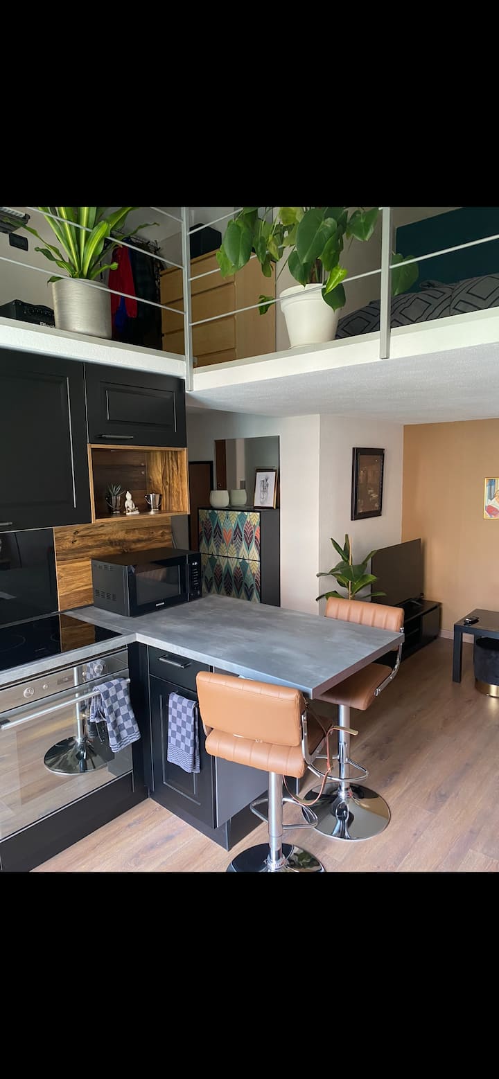 Menton Superbe Appartement Centre  Ville - Menton