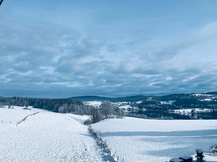۰۰La Neige Au Lac ۰۰
À 15 Min Des Pistes De Ski - Doubs