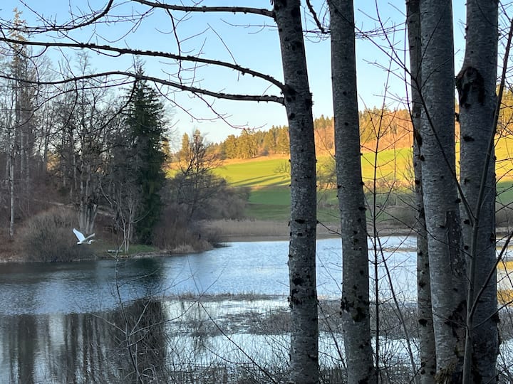 ۰Un Break Au Lac۰

… Séjour Détente En Famille … - Métabief