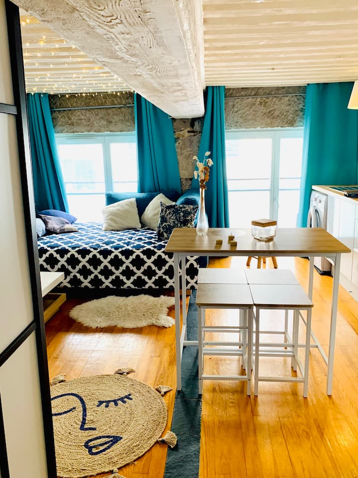 Studio Cocooning Atypique. - Lyon