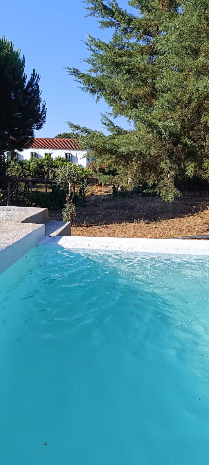 Kingdom Of Stone - Private Property & Pool - - Ferreira do Zêzere
