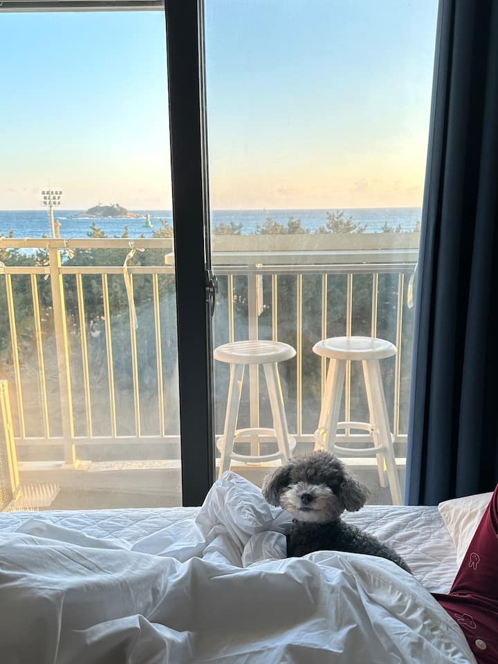 《속초바다 환상오션뷰》해돋이.달빛아래.예쁜공간#해변30초#로맨틱 우리만의바다뷰#하얀눈꽃세상 - Sokcho-si