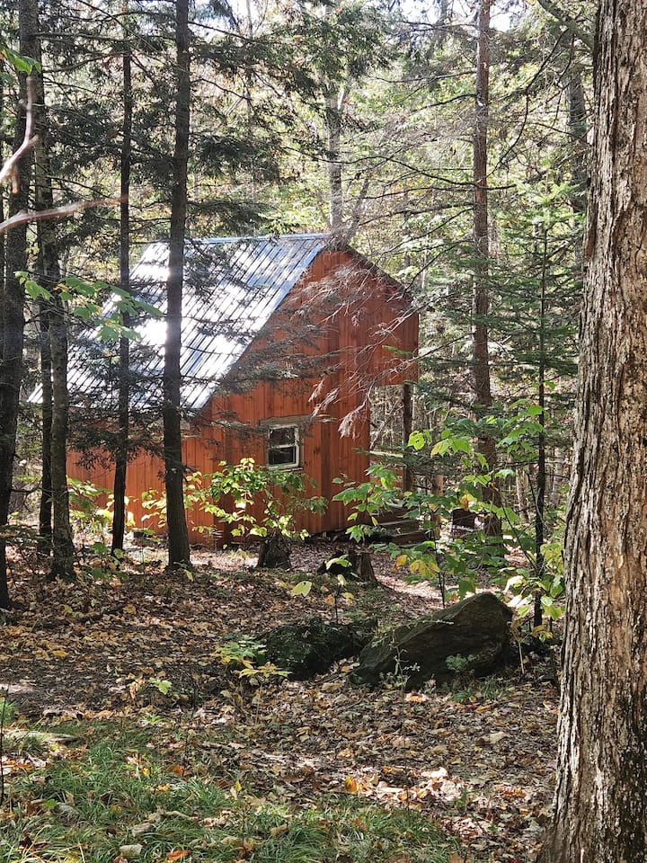 Cabin In The Woods. Relax, Breathe And Unplug! - Camden, ME