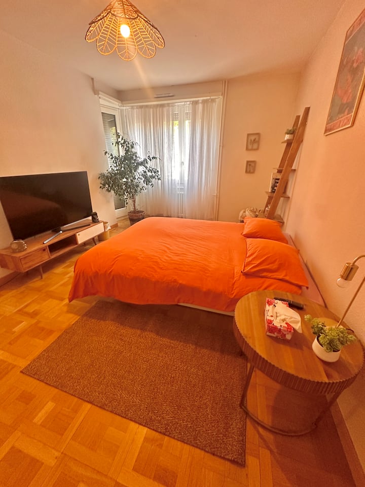 Cosy Apartment In Central Plainpalais - Cenevre, İsviçre