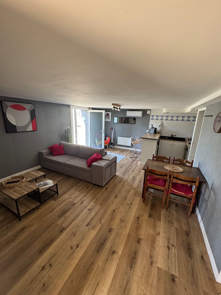 Air Pyrénées - Montréjeau