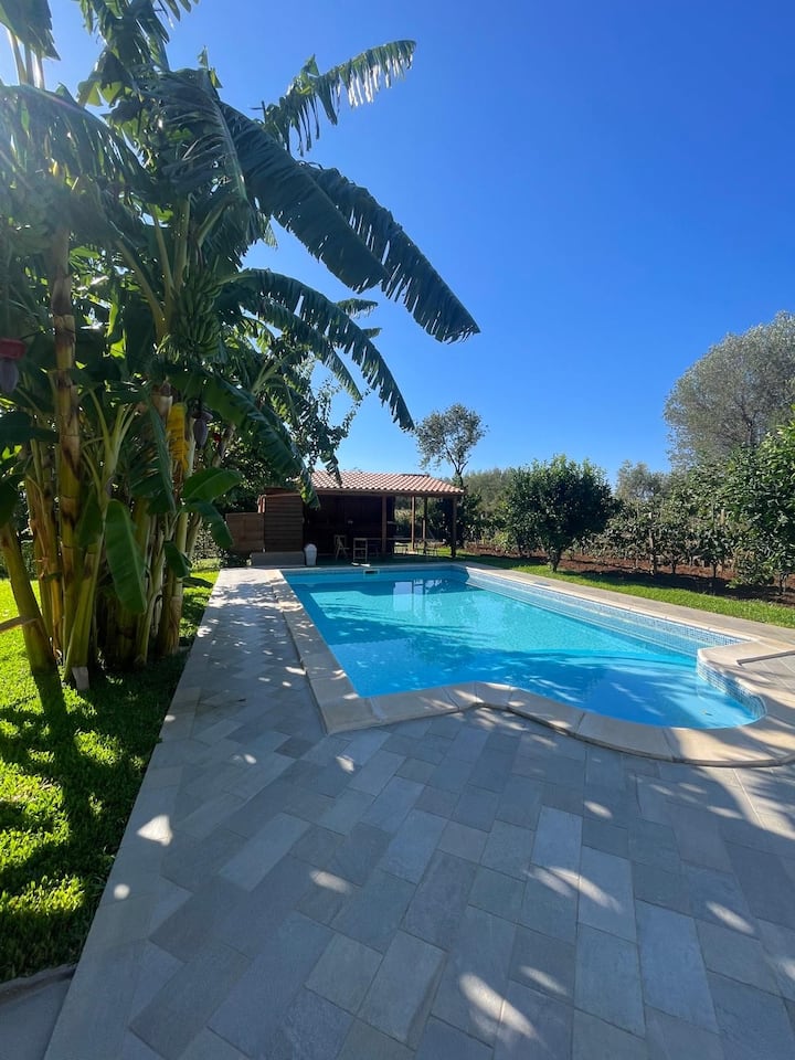 Appartamento Mimosa A Marina Di Camerota - Marina di Camerota