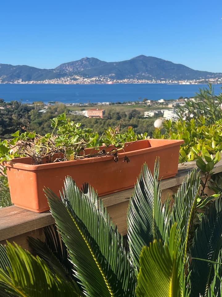 Charmant Appartement Refait à Neuf  Vue Mer - Ajaccio